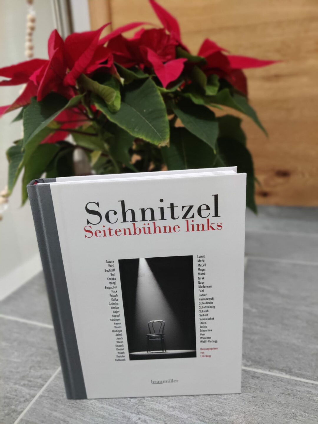 Lilli Nagy. Schnitzel Seitenbühne links – ein Theaterbuch mit amüsanten ...